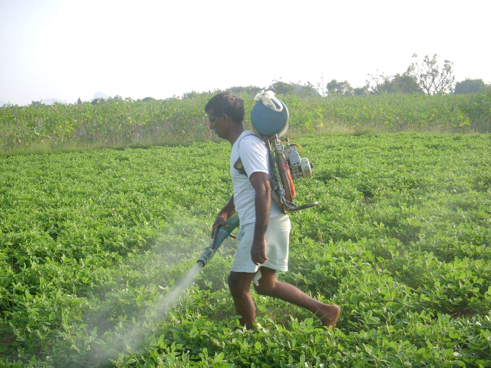 About Us – Sepio Health