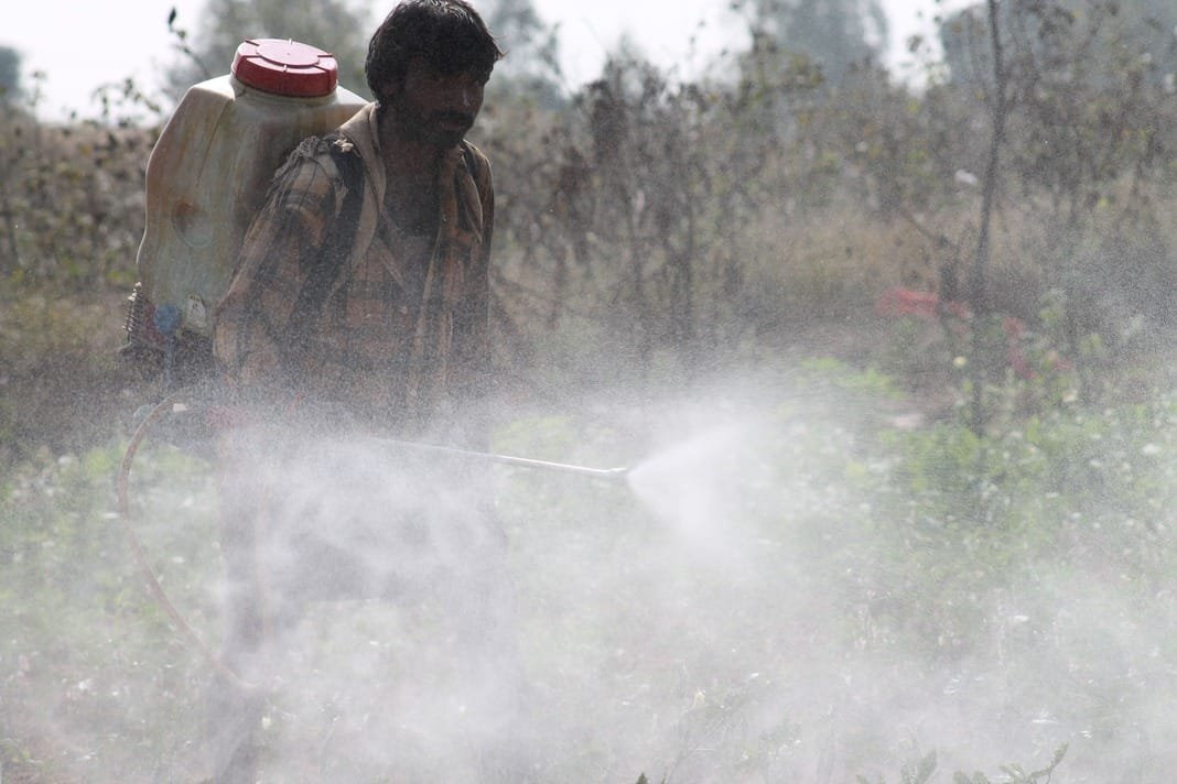 Gallery – Sepio Health