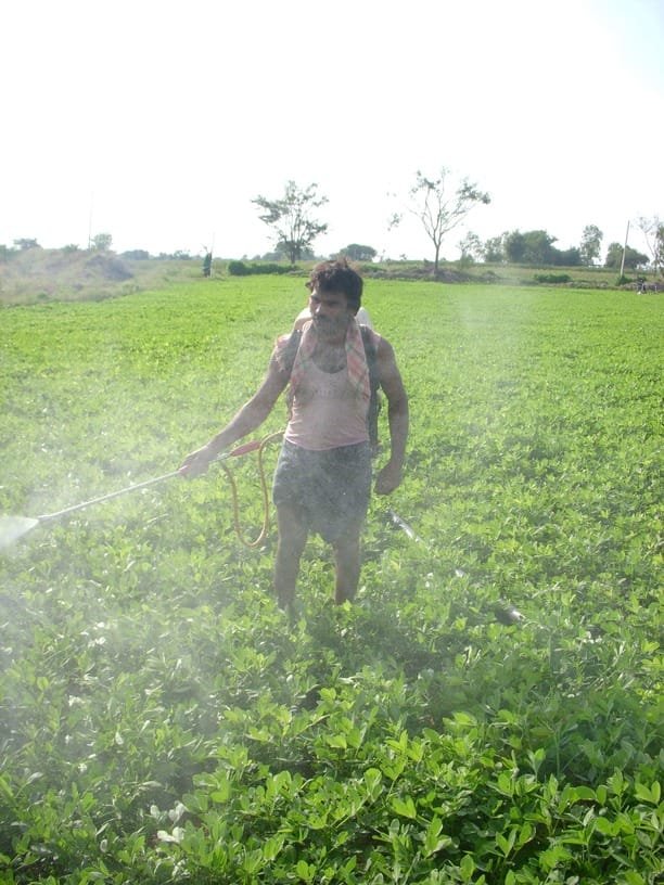 Gallery – Sepio Health