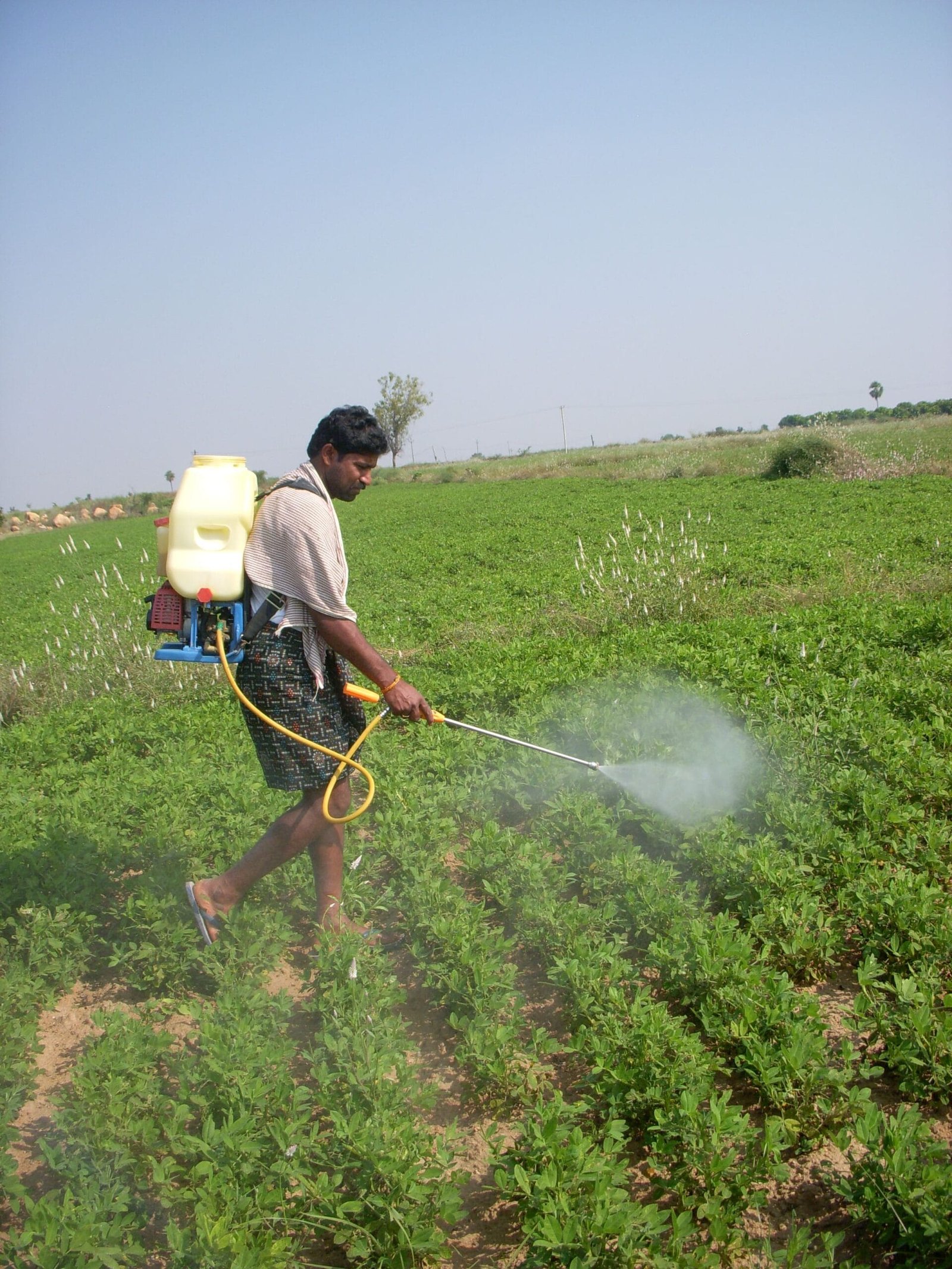 Gallery – Sepio Health