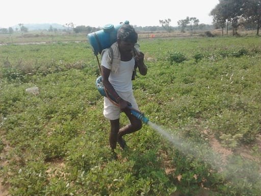 Gallery – Sepio Health