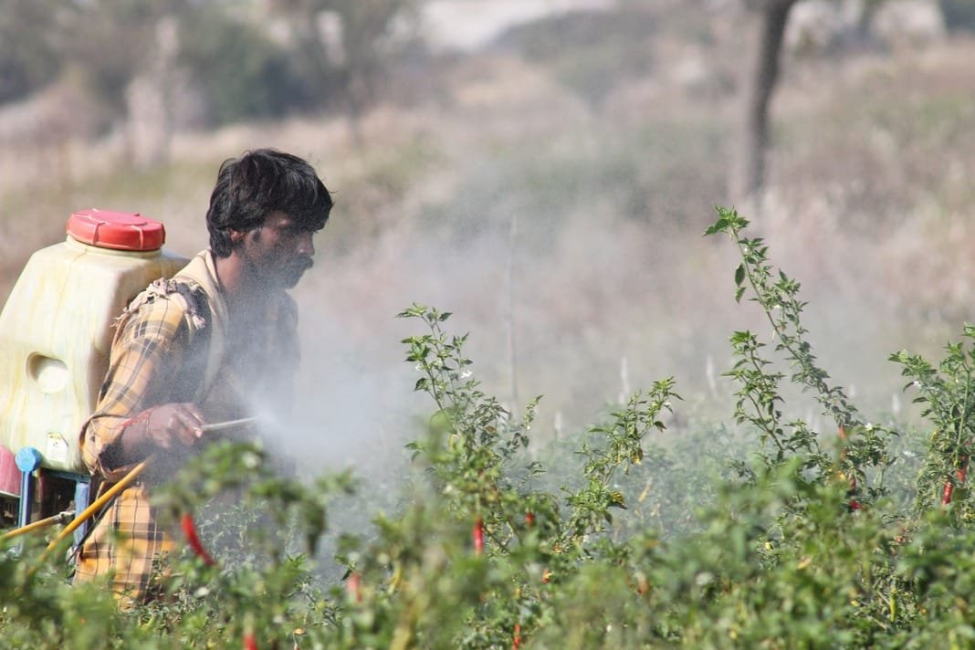 Gallery – Sepio Health