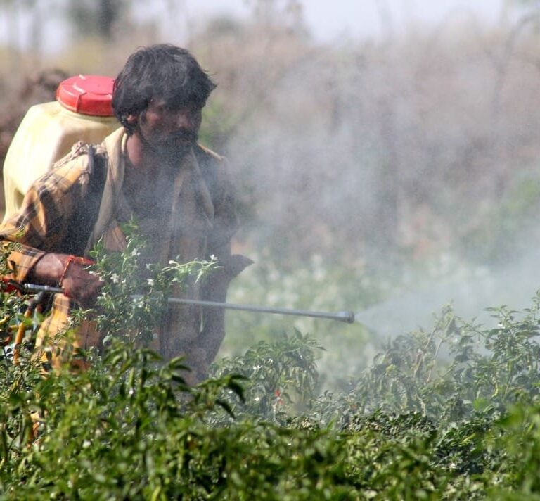 Gallery – Sepio Health