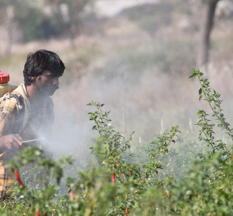 Gallery – Sepio Health